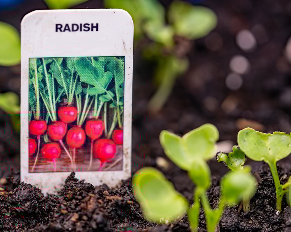 Real Life Point of View with Duratex Polystyrene